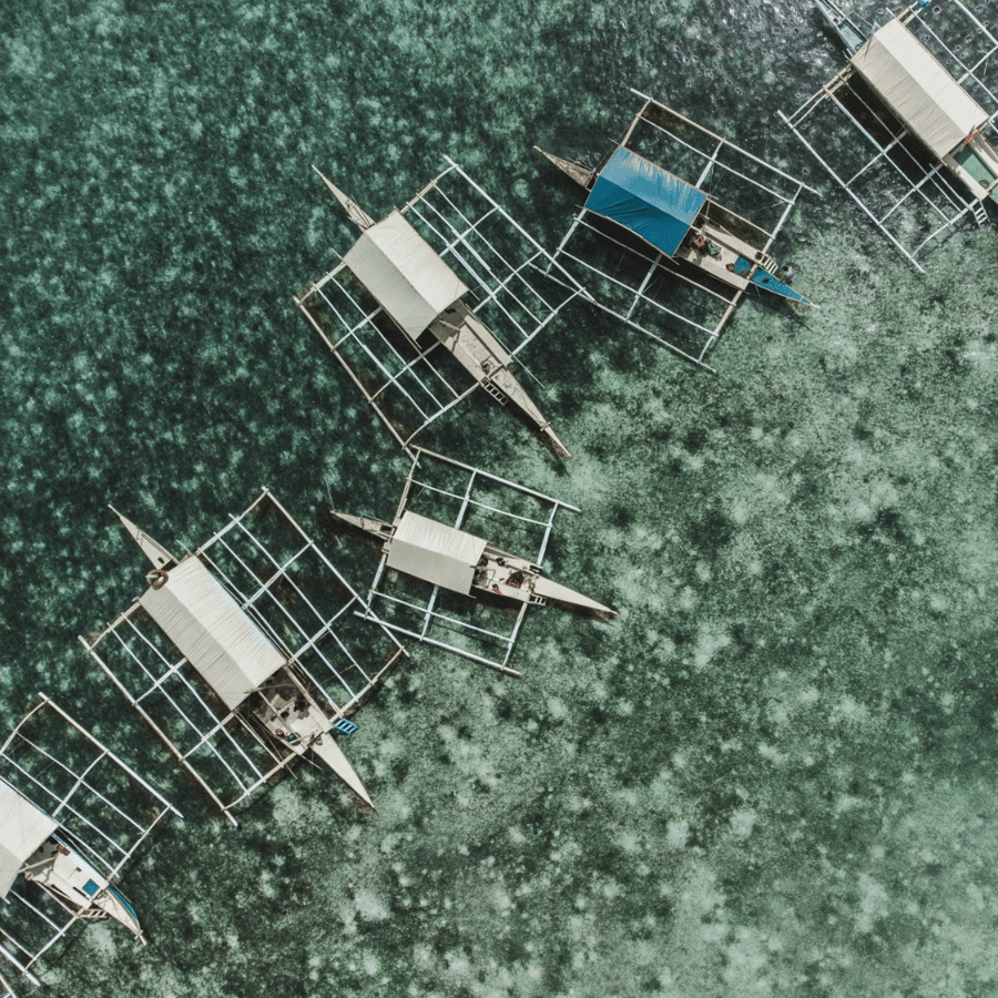 Panglao Countryside Tour | GetYourGuide