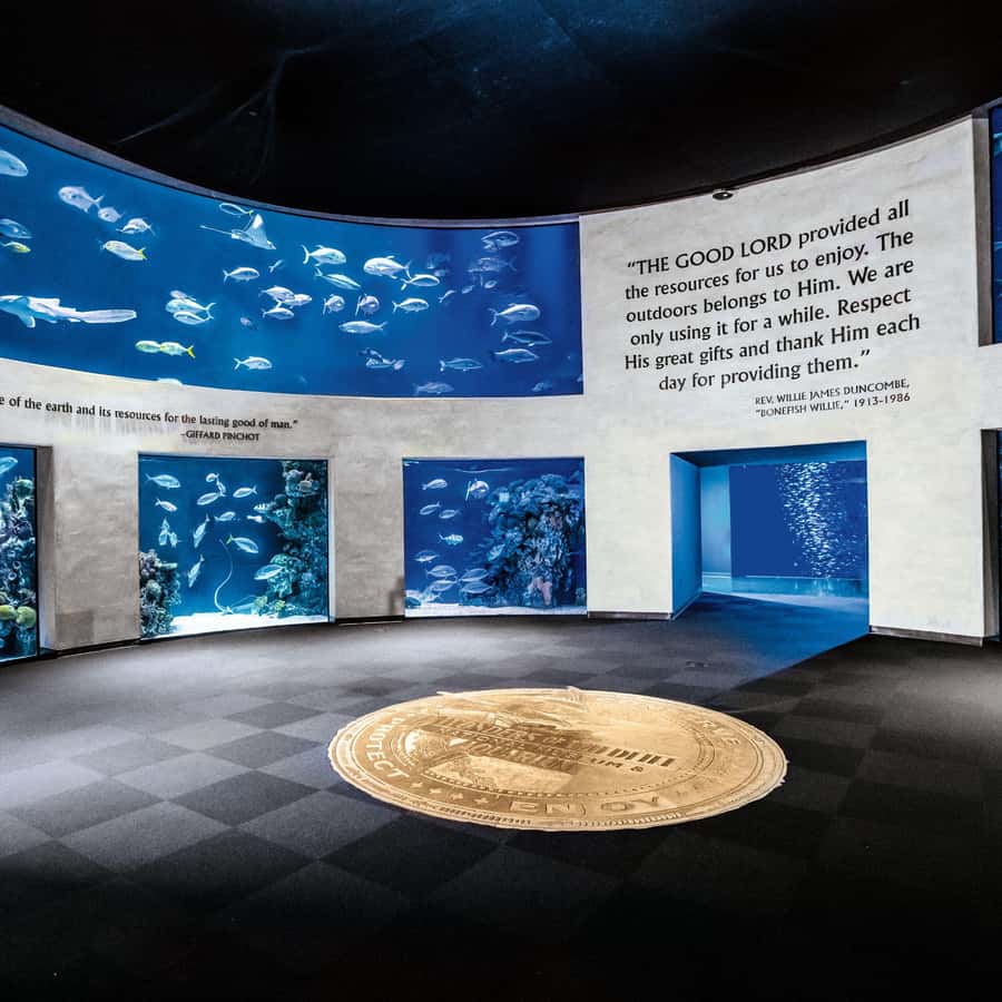 Springfield: Wonders of Wildlife National Museum & Aquarium | GetYourGuide