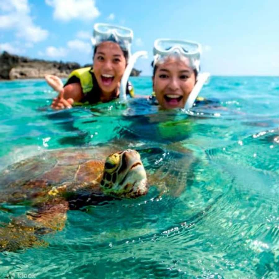 Bohol: Island Hopping with Turtles, Dolphins & Snorkeling | GetYourGuide