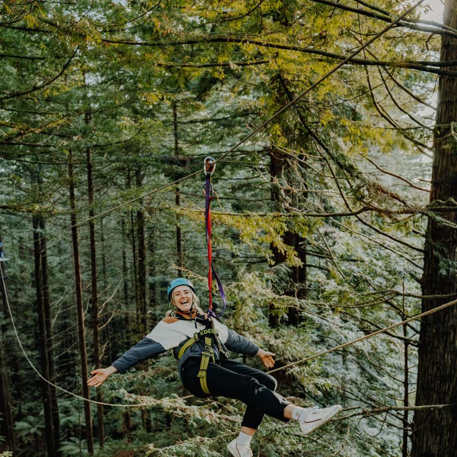 Rotorua: Redwoods Altitude High Ropes Adventure | GetYourGuide