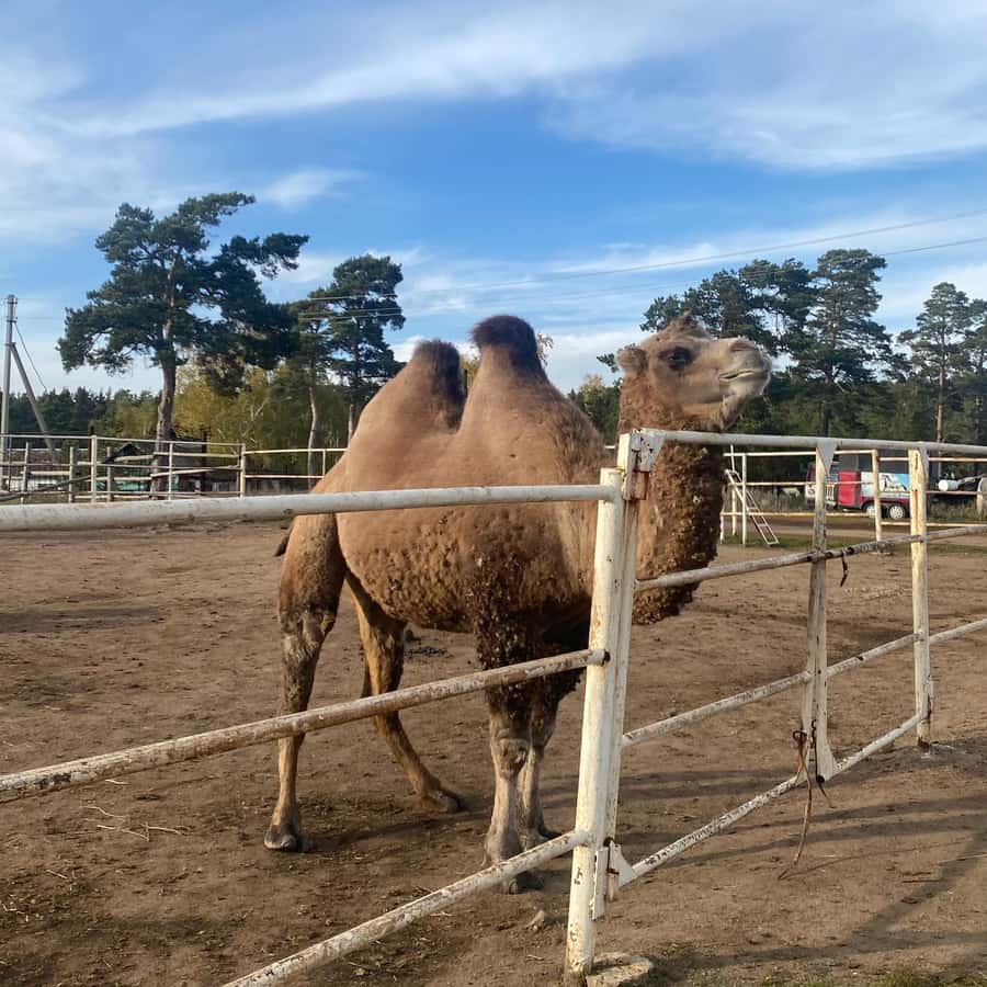 Astana: Burabay Oasis National Park Adventure | GetYourGuide