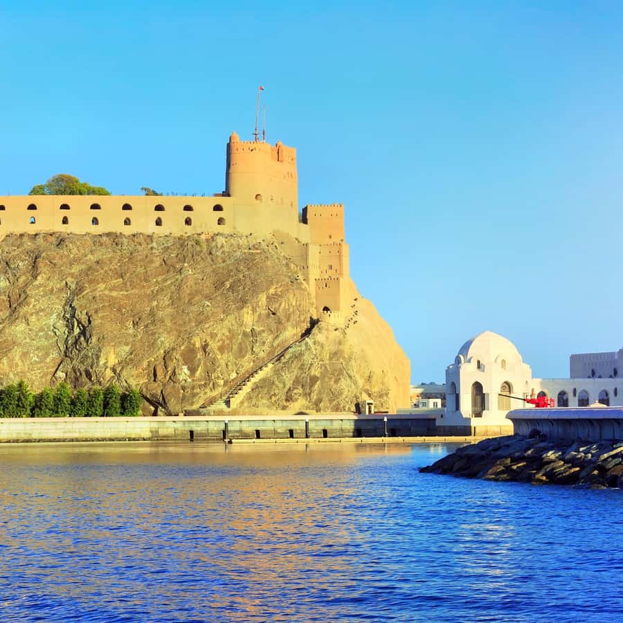 Muscat: Amazing Muscat Half Day History, Culture Tour | GetYourGuide