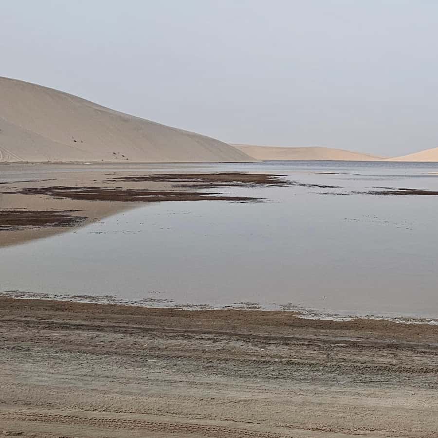 Doha: All inclusive Shared Desert Safari with Dune Bashing | GetYourGuide