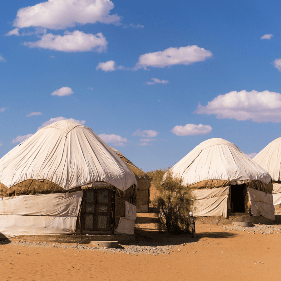 Aydar Lake Yurt Camping Tour from Samarkand to Bukhara | GetYourGuide