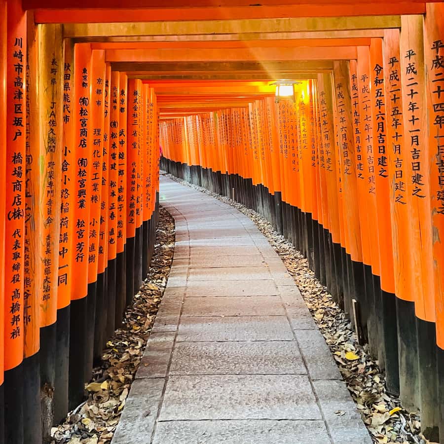 Kyoto: Secret Zen Garden & Iconic Torii Adventure | GetYourGuide