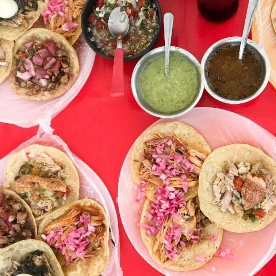 Zona Rosa Mexico City Nightlife: Tacos and LGBT Bar Tour | GetYourGuide