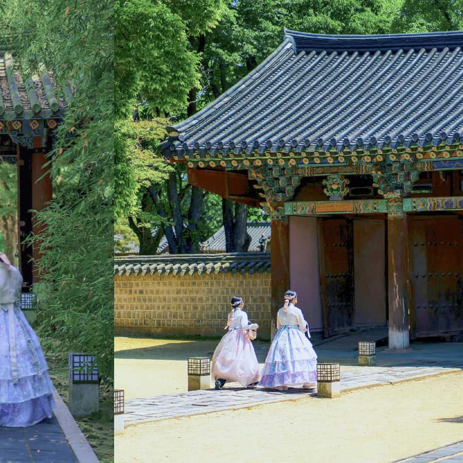 Jeonju Hanok Village Full-Day Tour:Jangtaesan Autumn Foliage | GetYourGuide