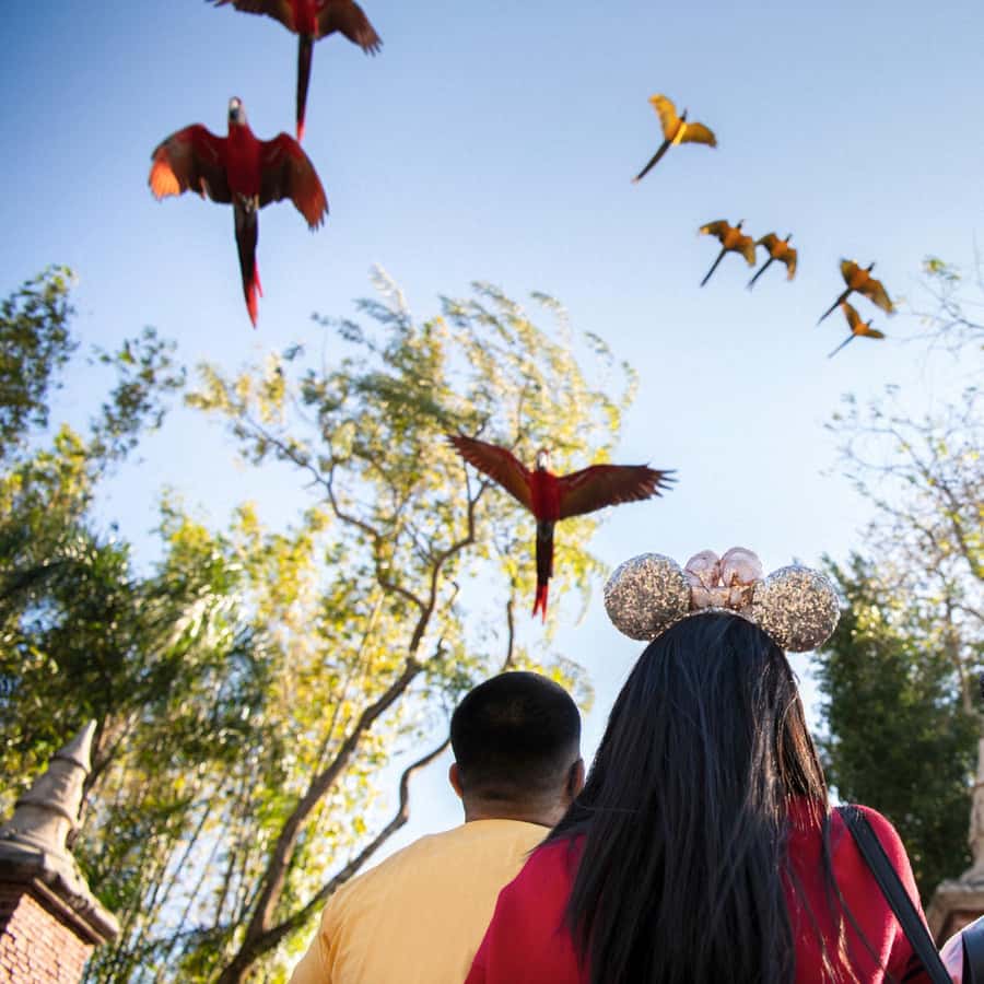 This activity can't be booked from your location