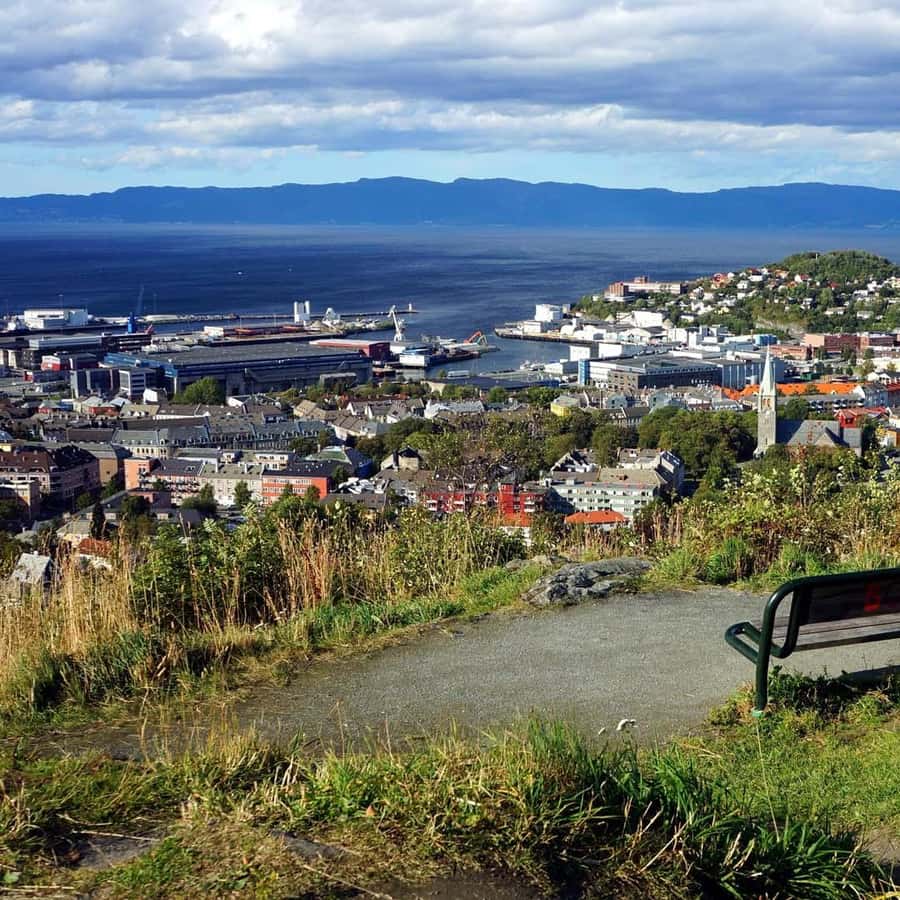 Trondheim: City Highlights Bus and Walking Tour | GetYourGuide