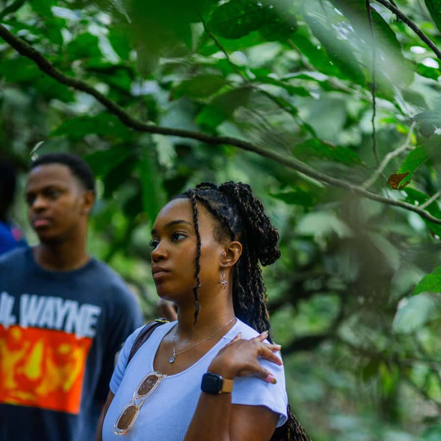 Experience Boti Twin Waterfalls, Umbrella Rock, 3H-Palm Tree | GetYourGuide