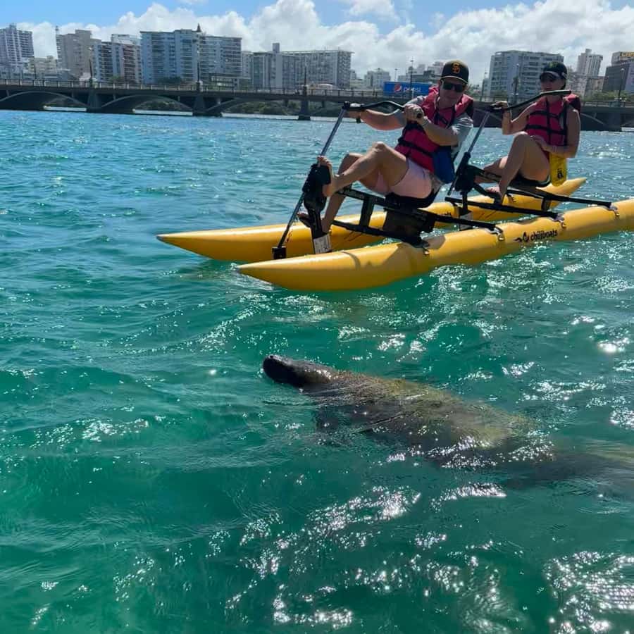 San Juan: Condado Lagoon Day Adventure Chiliboats Tour | GetYourGuide