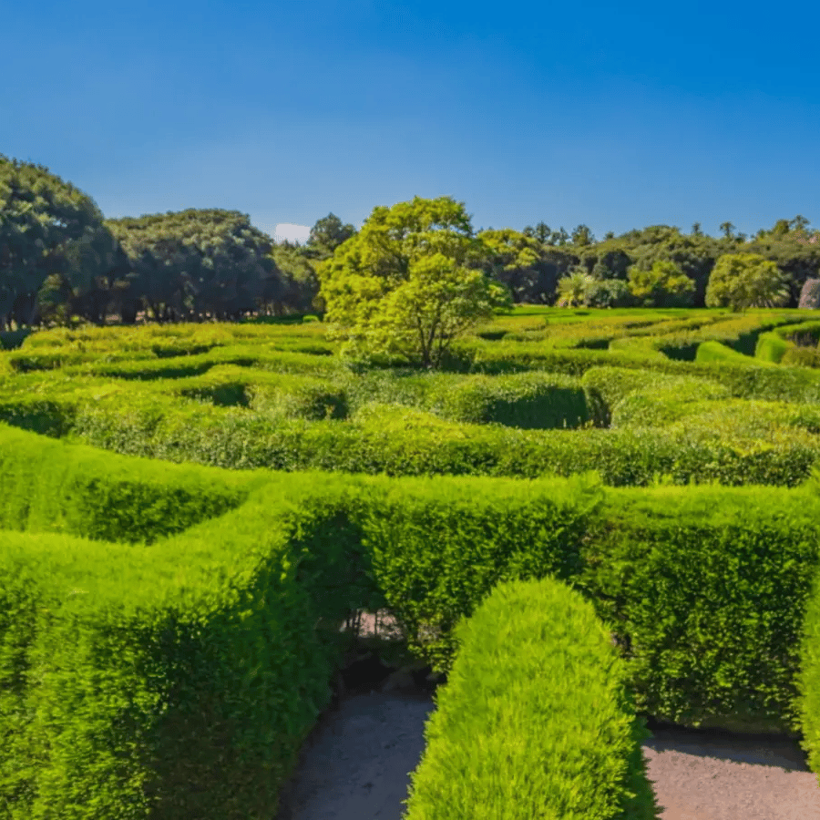 From Melbourne: Mornington Peninsula Tour and Puffing Billy | GetYourGuide