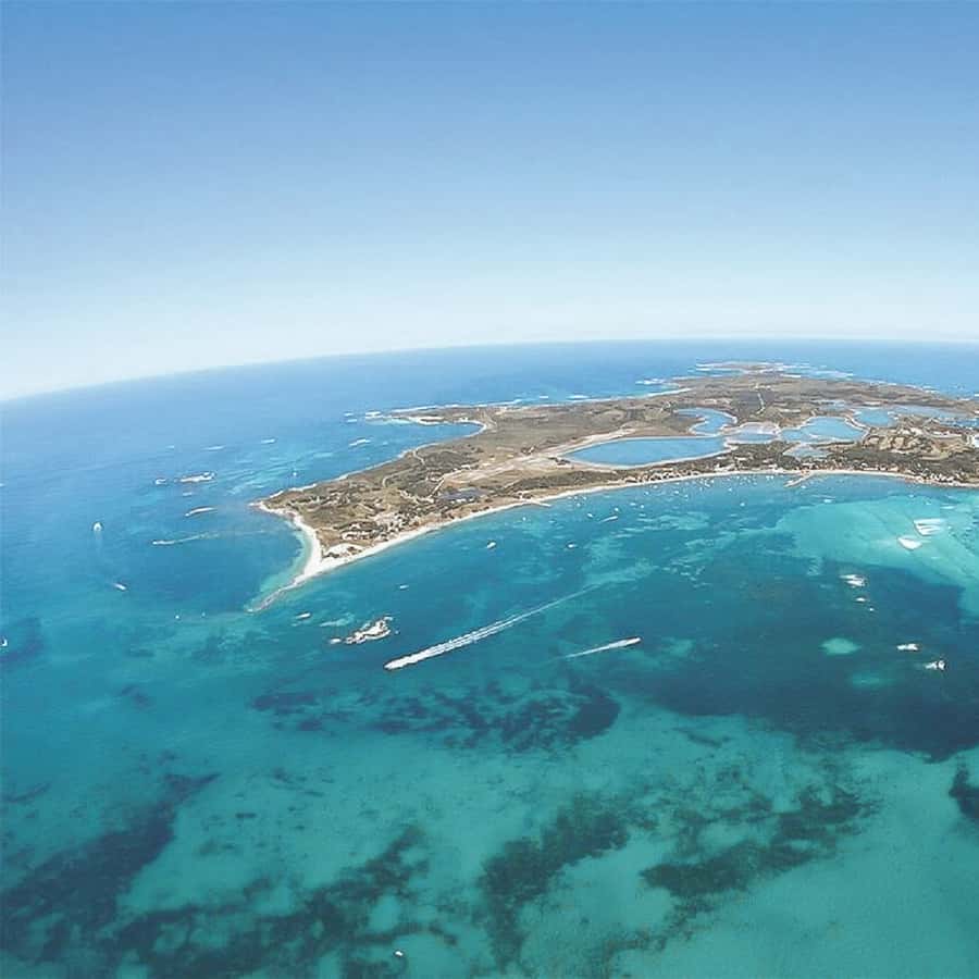 From Fremantle: Rottnest Island Ferry & Admission Ticket | GetYourGuide