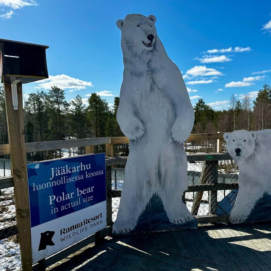 Rovaniemi: Ganztägige Tour zu Lapplands besten Attraktionen | GetYourGuide