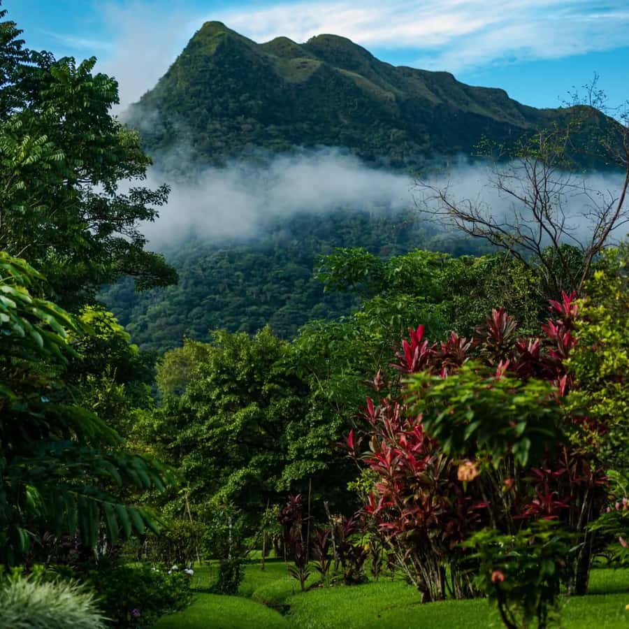 Panama City: Anton Valley Hot Springs, Waterfall & More Tour: Anton ...