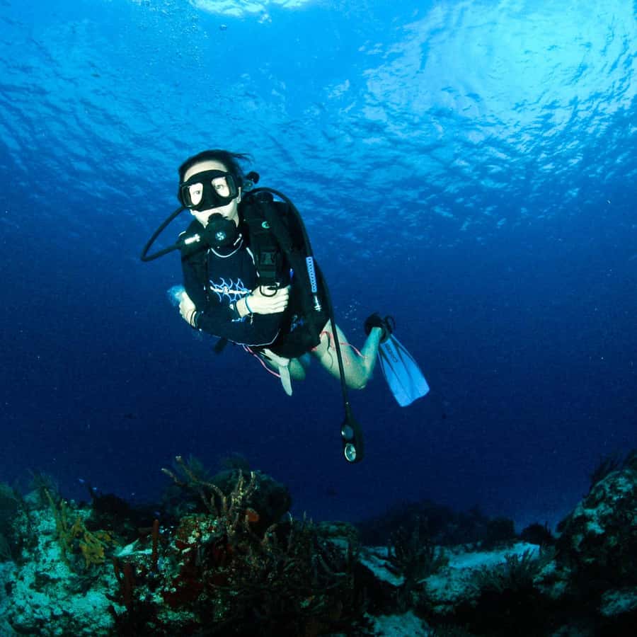 Underwater Museum Musa : SCUBA DIVING FOR BEGINNERS | GetYourGuide