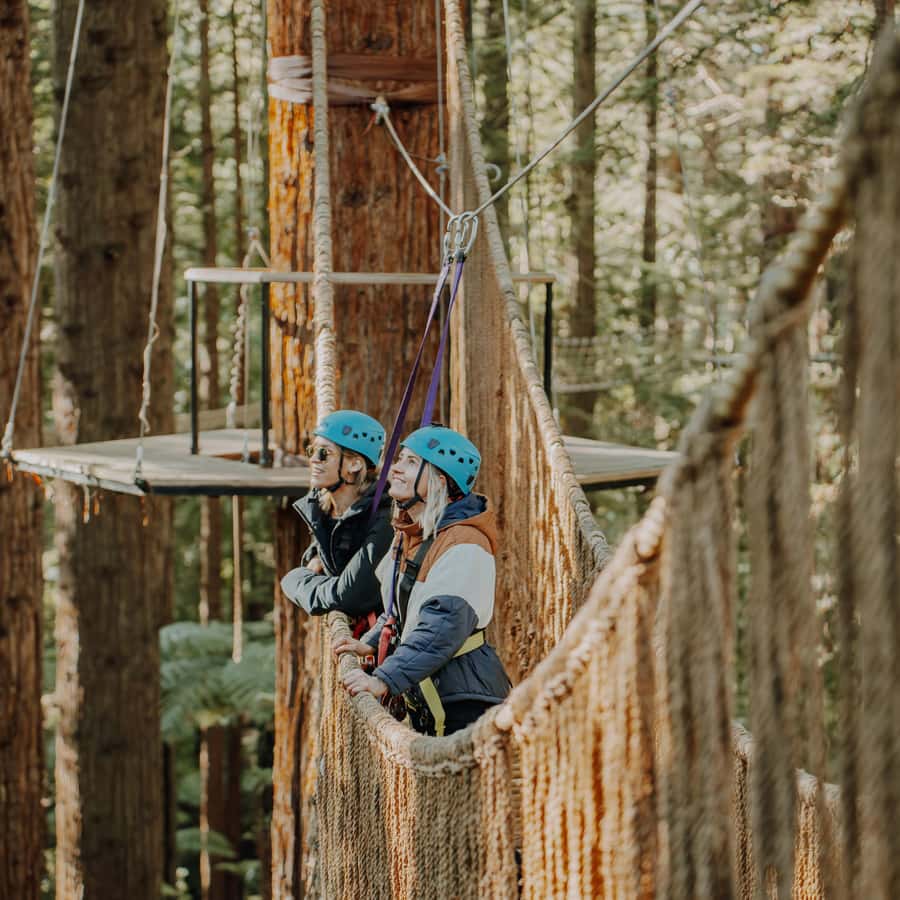 Rotorua: Redwoods Altitude High Ropes Adventure | GetYourGuide