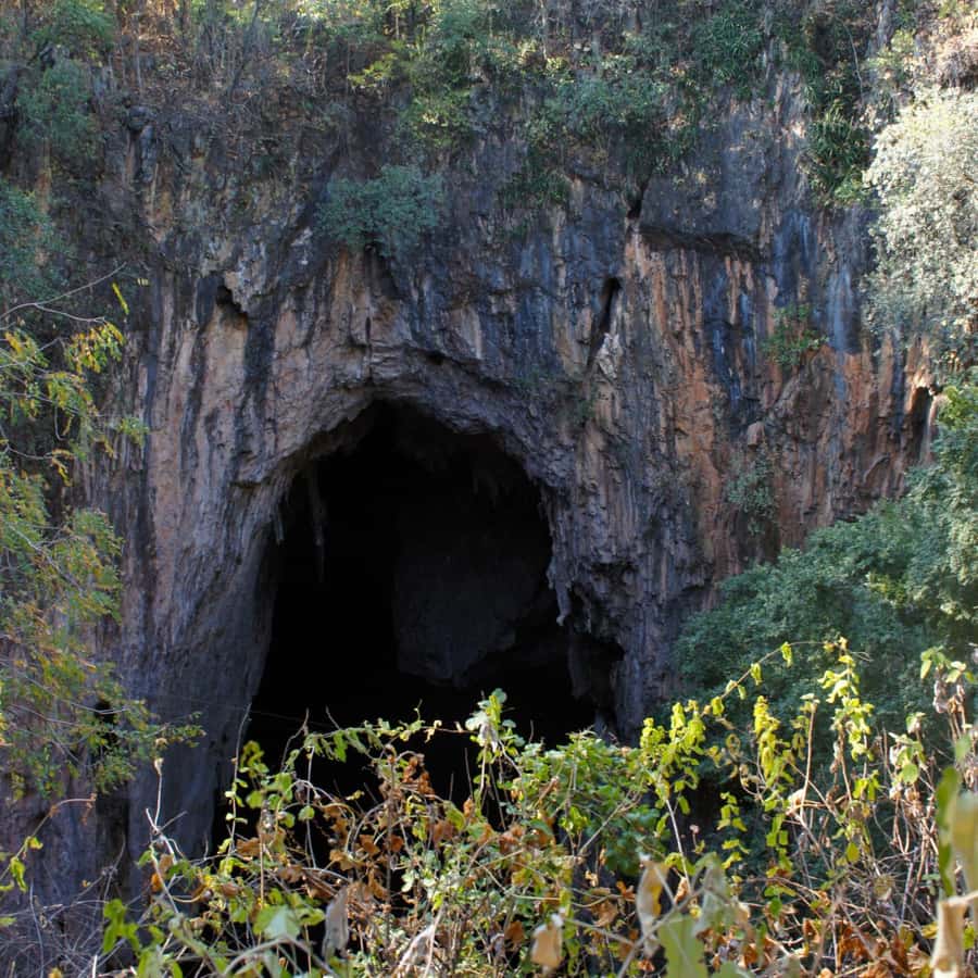 Zimbabwe: Chinhoyi Caves Tour with Lion Viewing and Lunch | GetYourGuide