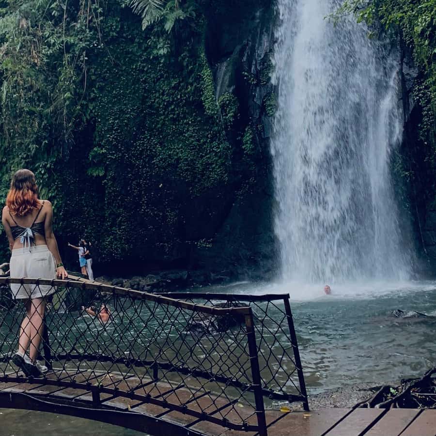 Ubud : cascade, temple de l'eau, forêt des singes et rizières en terrasses | GetYourGuide