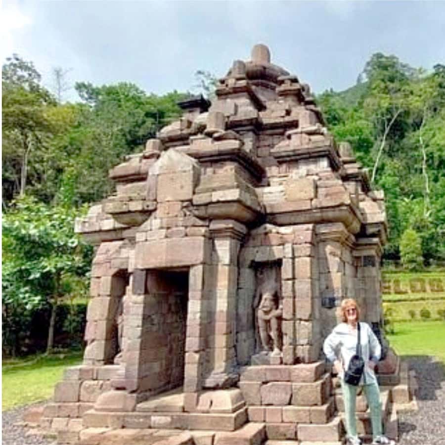 Yogyakarta: Selogriyo Temple, Rice Terraces & Waterfall Tour | GetYourGuide