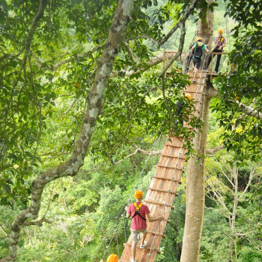 Phuket: Flying Hanuman Zipline Adventure | GetYourGuide