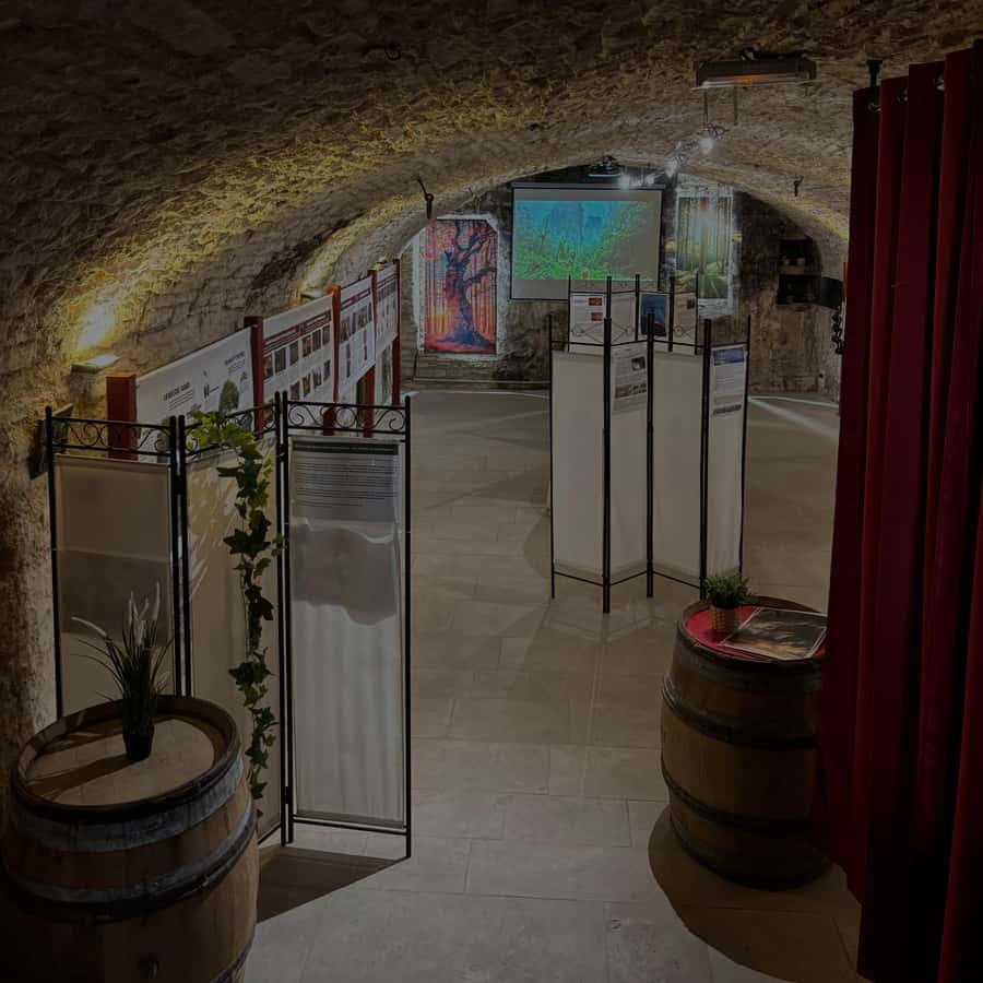 Exposition "Les forêts en souffrance" & Dégustation de vins | GetYourGuide