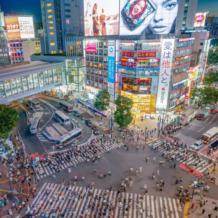 Tokyo: Shibuya Sky walking tour with night Access | GetYourGuide