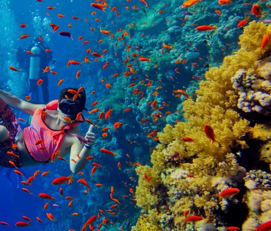 ZANZIBAR: Amazing natural lagoon and Starfish tour | GetYourGuide