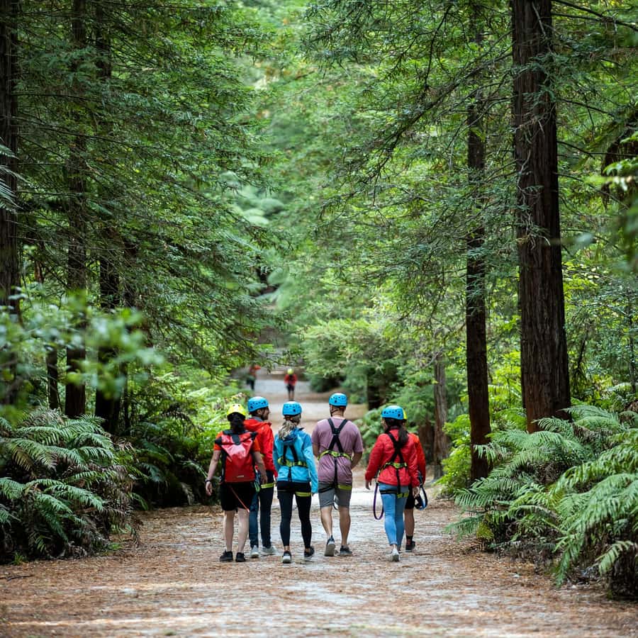 Rotorua: Redwoods Altitude High Ropes Adventure | GetYourGuide