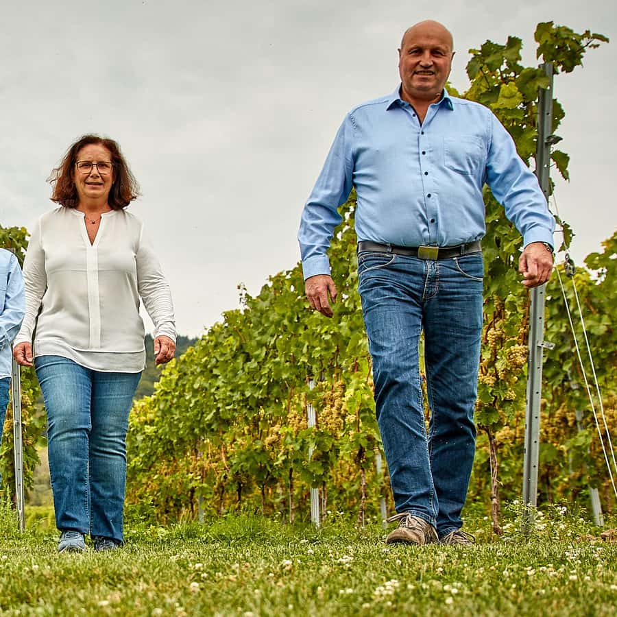 Kröv/Gut Hermes: Erzeuge Deinen eigenen Sekt - Erlebnisprobe ...