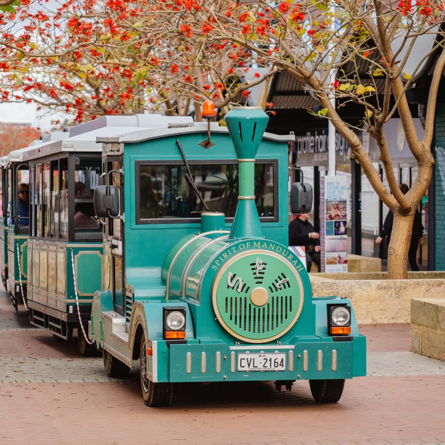 Mandurah: Big Toot 30 mins City Tour | GetYourGuide
