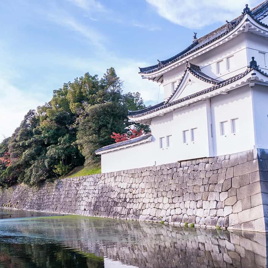 Kyoto: Nijo Castle History Walking Tour – World Heritage | GetYourGuide