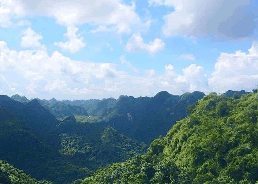 Trekking im Cat Ba-Nationalpark und Tour zum Gipfel Ngu Lam ab Cat Ba ...