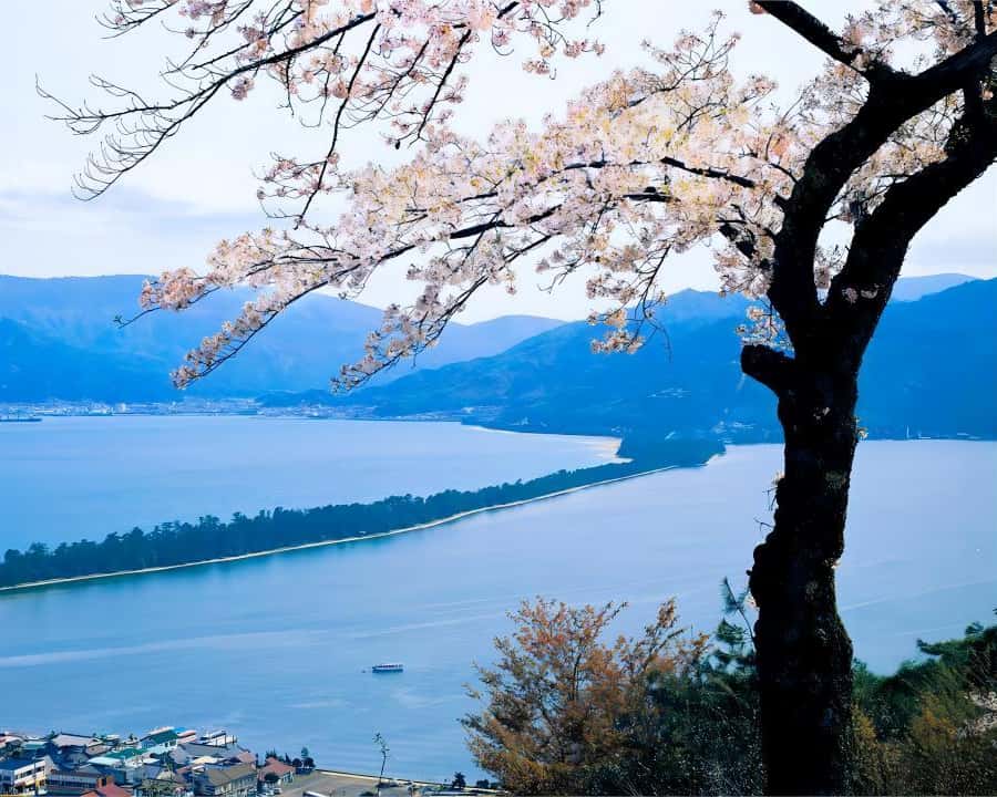 Kyoto: Amanohashidate Ine Funaya Tour | GetYourGuide