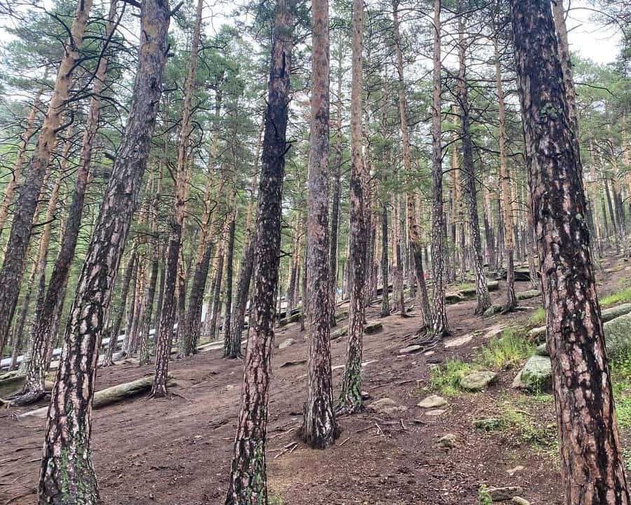 Astana: Burabay Oasis National Park Adventure | GetYourGuide