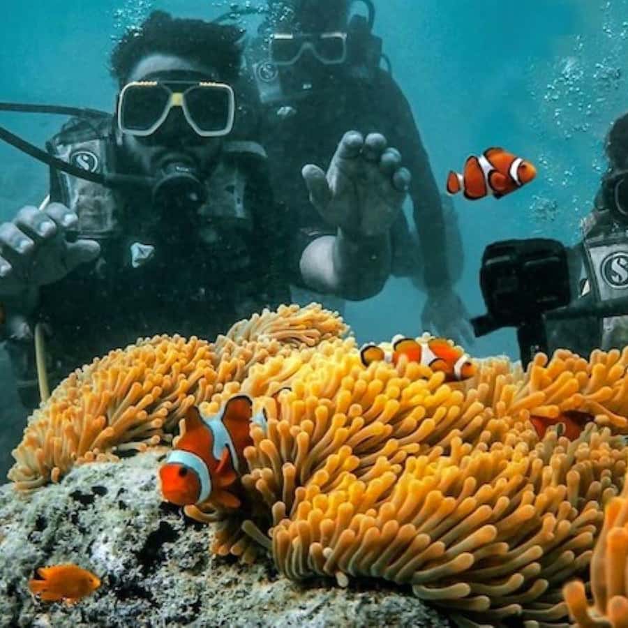 Andaman Adventure with Scuba Diving - 3 Nights 4 Days | GetYourGuide