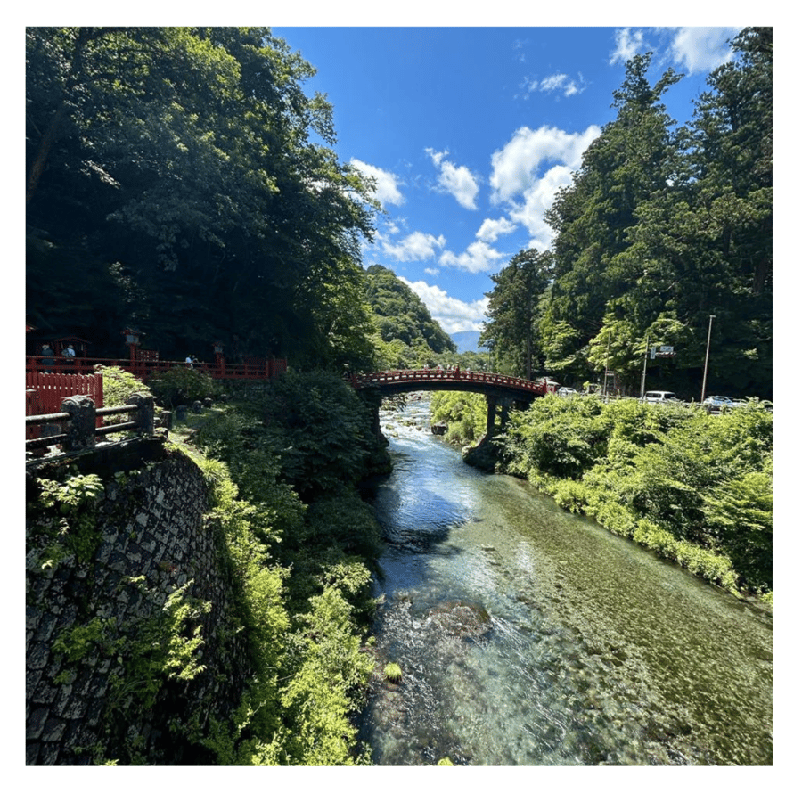 Private Nikko Day Tour from Tokyo: Nature & Heritage | GetYourGuide