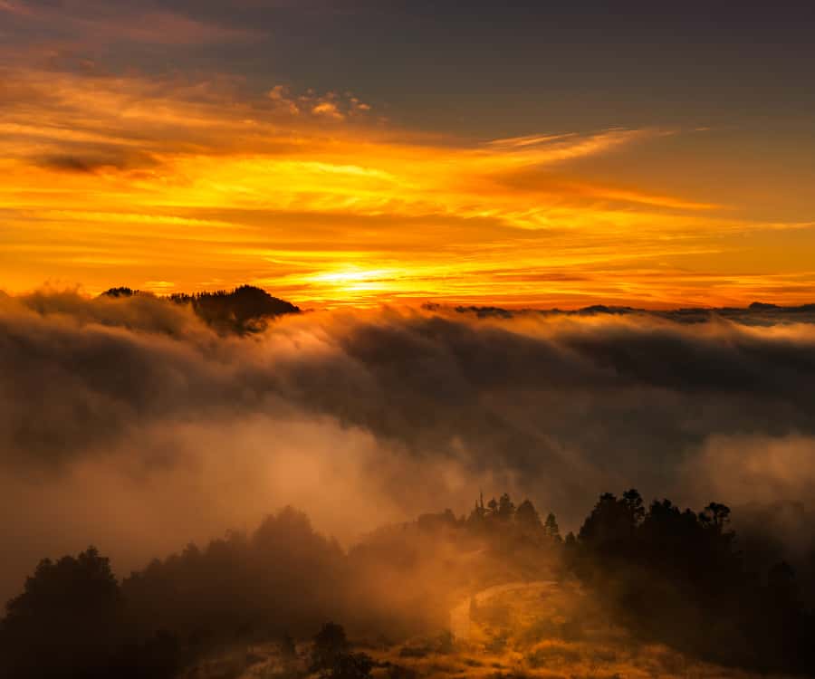 Annapurna-Basislager mit Poonhill-Wanderung | GetYourGuide