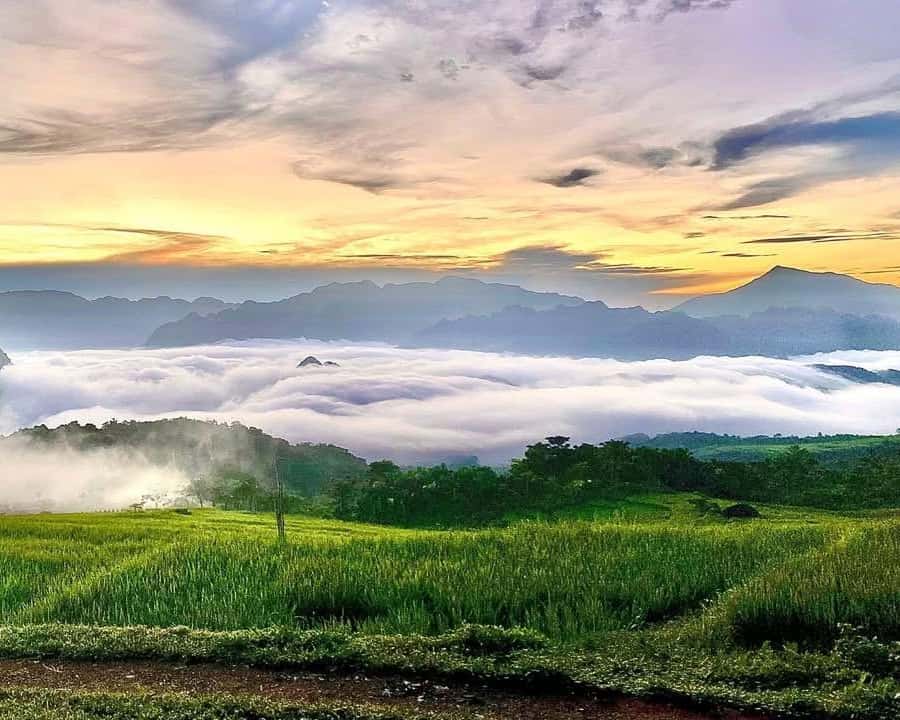 Excursion à vélo et randonnée dans la vallée de Mai Chau jusqu'à la ...