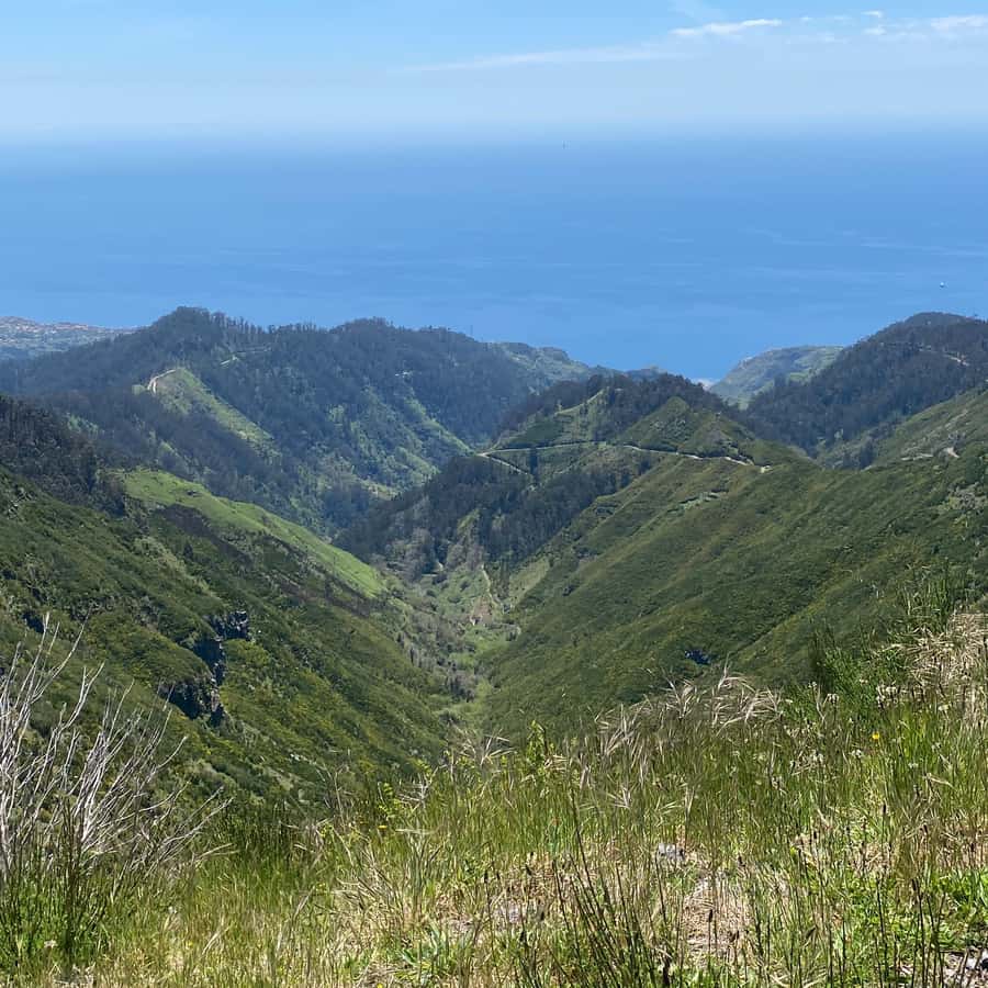 Safari en jeep à Madère avec la forêt de Fanal et les piscines ...