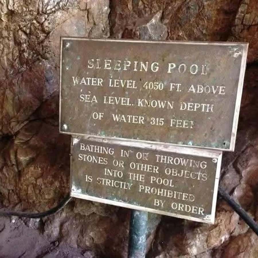 Zimbabwe: Chinhoyi Caves Tour with Lion Viewing and Lunch | GetYourGuide