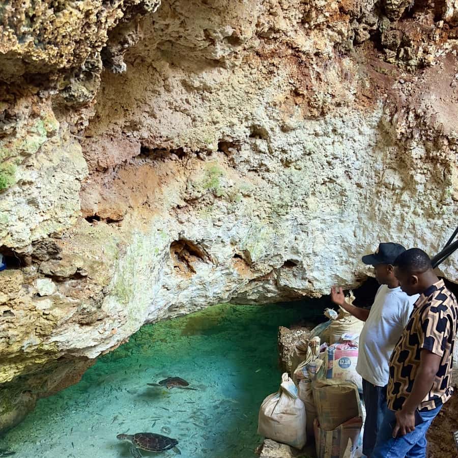 Zanzibar Kizimkazi Secret Cave swim sea turtles Tour | GetYourGuide