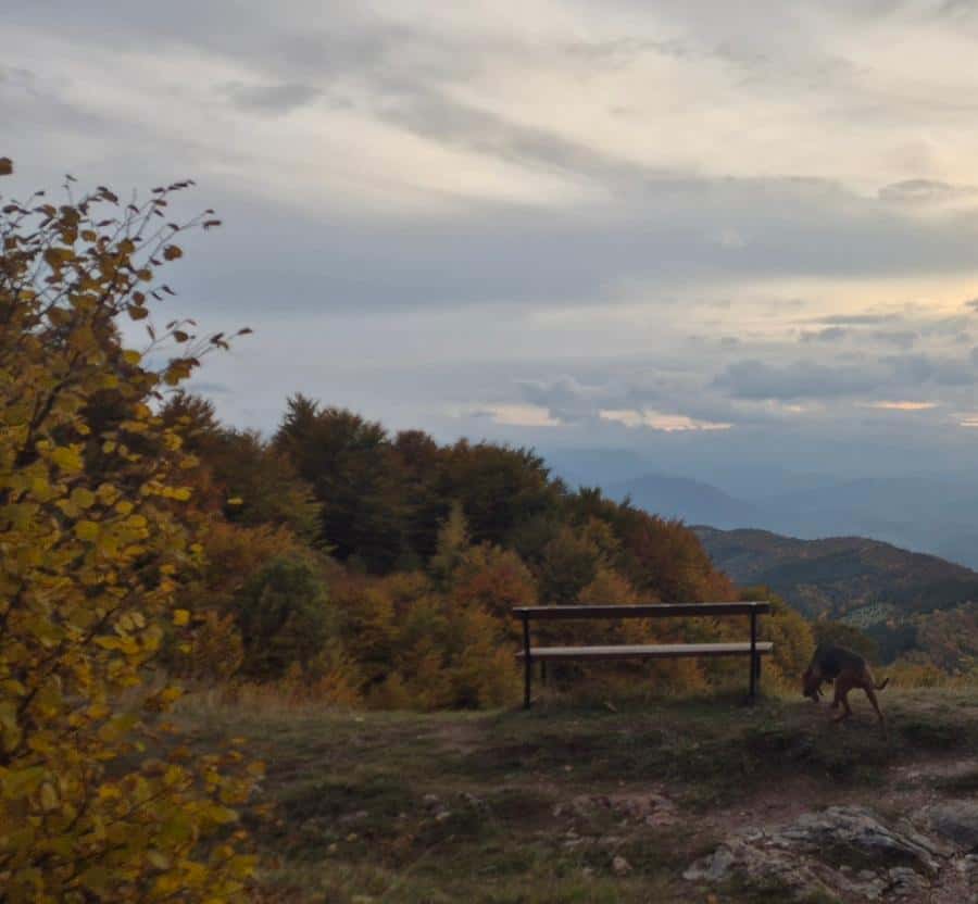 Sarajevo: Via ferrata Bukovik | GetYourGuide