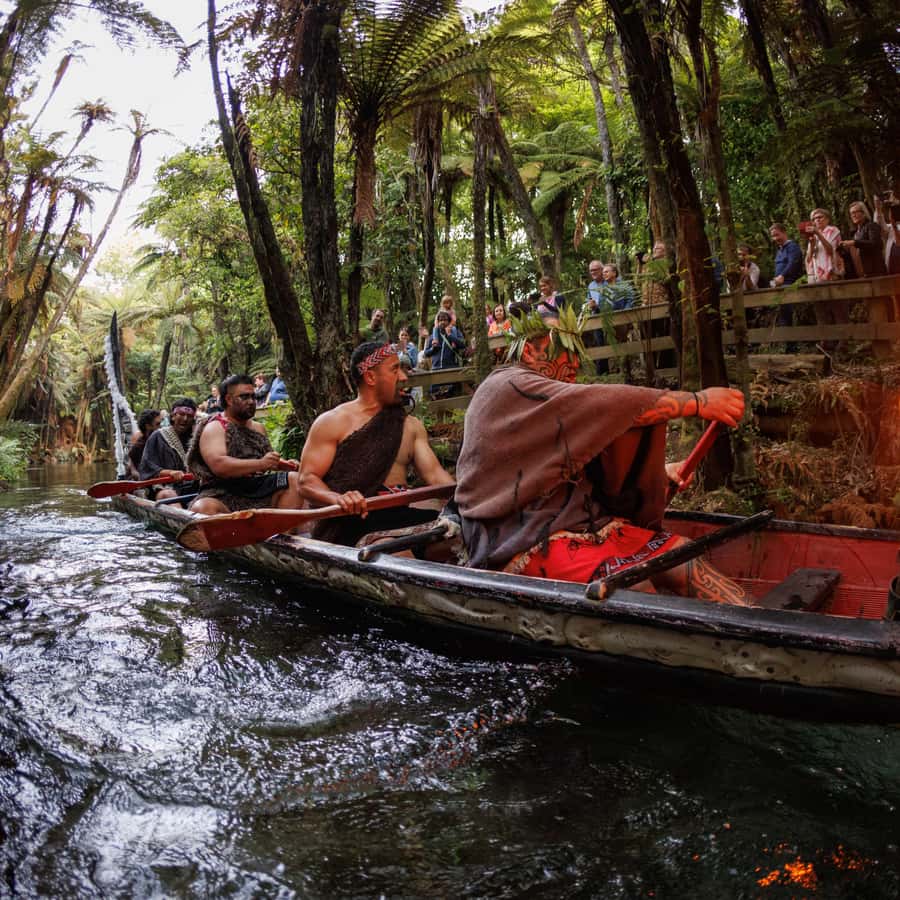 MITAI MAORI VILLAGE Night XP & Polynesian Spa depuis Auckland ...