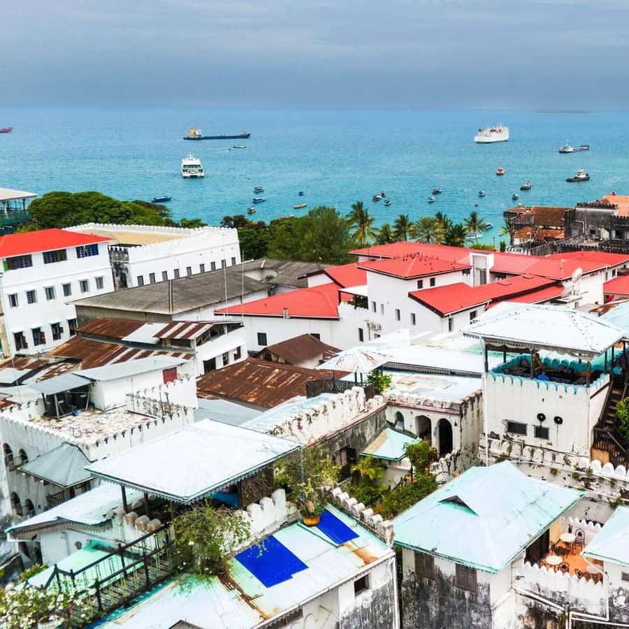 Zanzibar: Local village visit and Stone Town Guided Tour | GetYourGuide