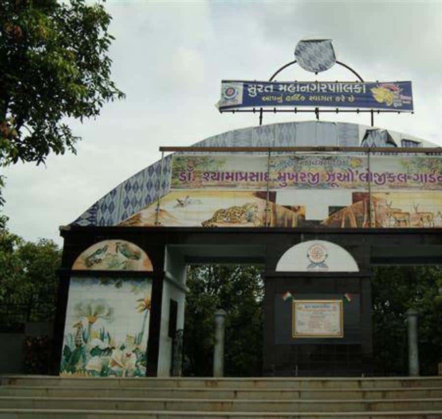 Surat: 1-Day Cultural and Historical Sightseeing Tour | GetYourGuide