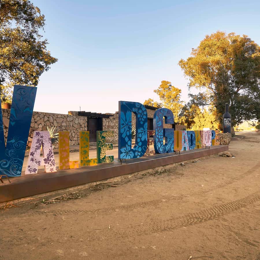 From Tijuana: Valle de Guadalupe Private Winery Tour | GetYourGuide