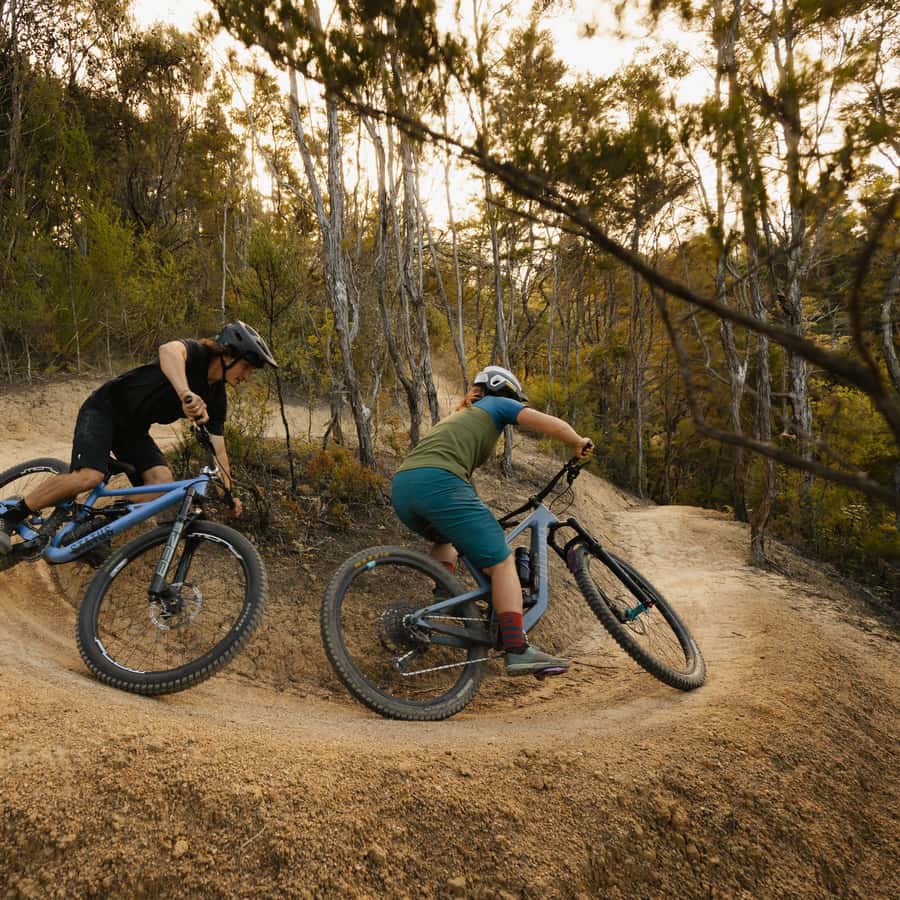 Kaiteriteri: Guided Mountain Biking Tour with Bike Rental | GetYourGuide