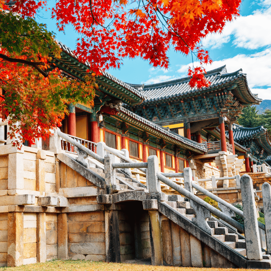 Busan: UNESCO-Welterbe-Tour nach Gyeongju mit Nationalmuseum | GetYourGuide