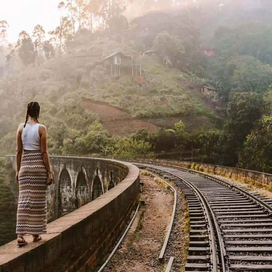 Ella: 9-Bogen-Brücke, Little Adam's Peak, Teefabrik | GetYourGuide